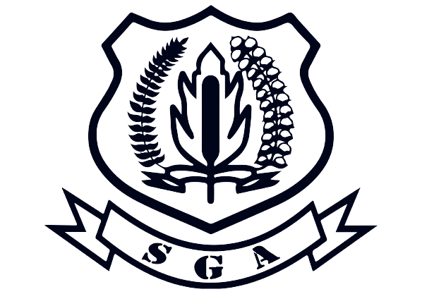 Measi Institute Of Management Logo